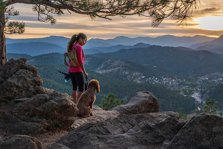 12 Vet-Reviewed Essentials for Hiking with Dogs: 2026 Gear Guide ...