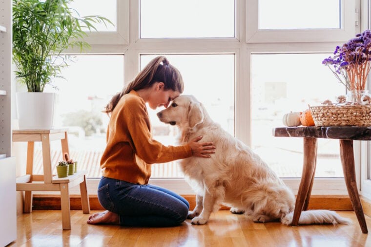 Do Dogs Like Hugs? How To Hug Them the Right Way | Hepper Pet Resources