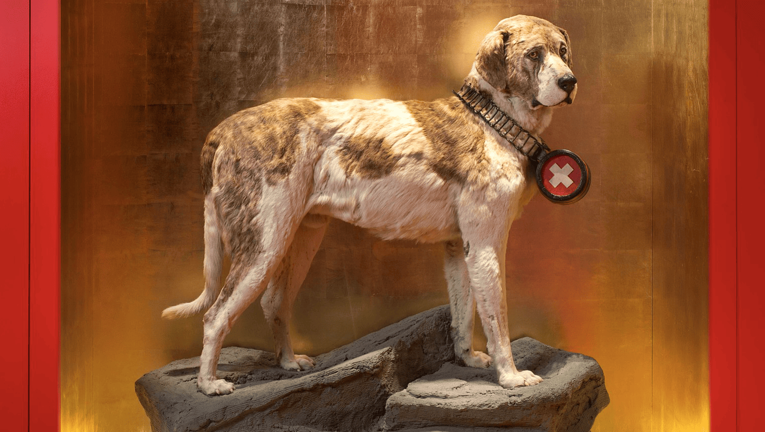 12 Hero Dogs That Saved Lives (With Pictures & Their Feats) | Hepper ...