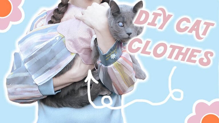 15 DIY Cat Clothes - Plans & Patterns You Can Make Today (With Pictures ...