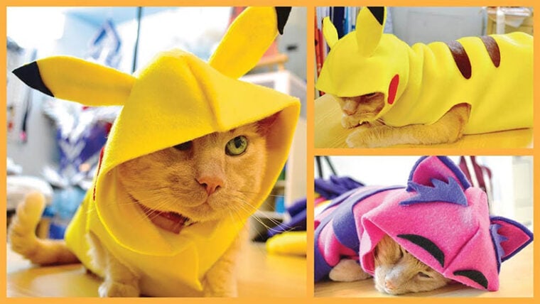 15 DIY Cat Clothes - Plans & Patterns You Can Make Today (With Pictures) | Hepper Pet Resources