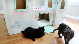 24 DIY Cardboard Cat House Plans You Can Build Today (With Pictures ...