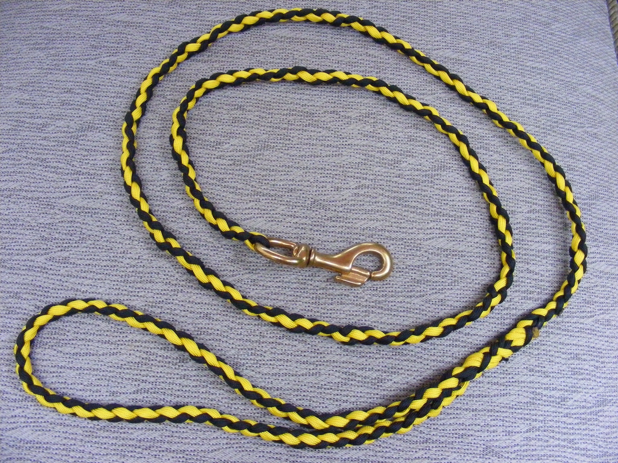 20 DIY Dog Leashes You Can Make Today (With Pictures) | Hepper Pet ...