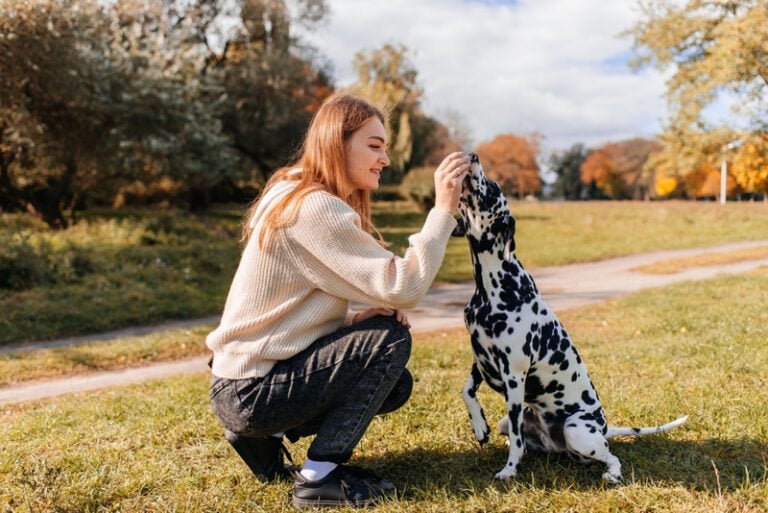 18 Great Dog Breeds for Emotional Support (With Info & Pictures ...