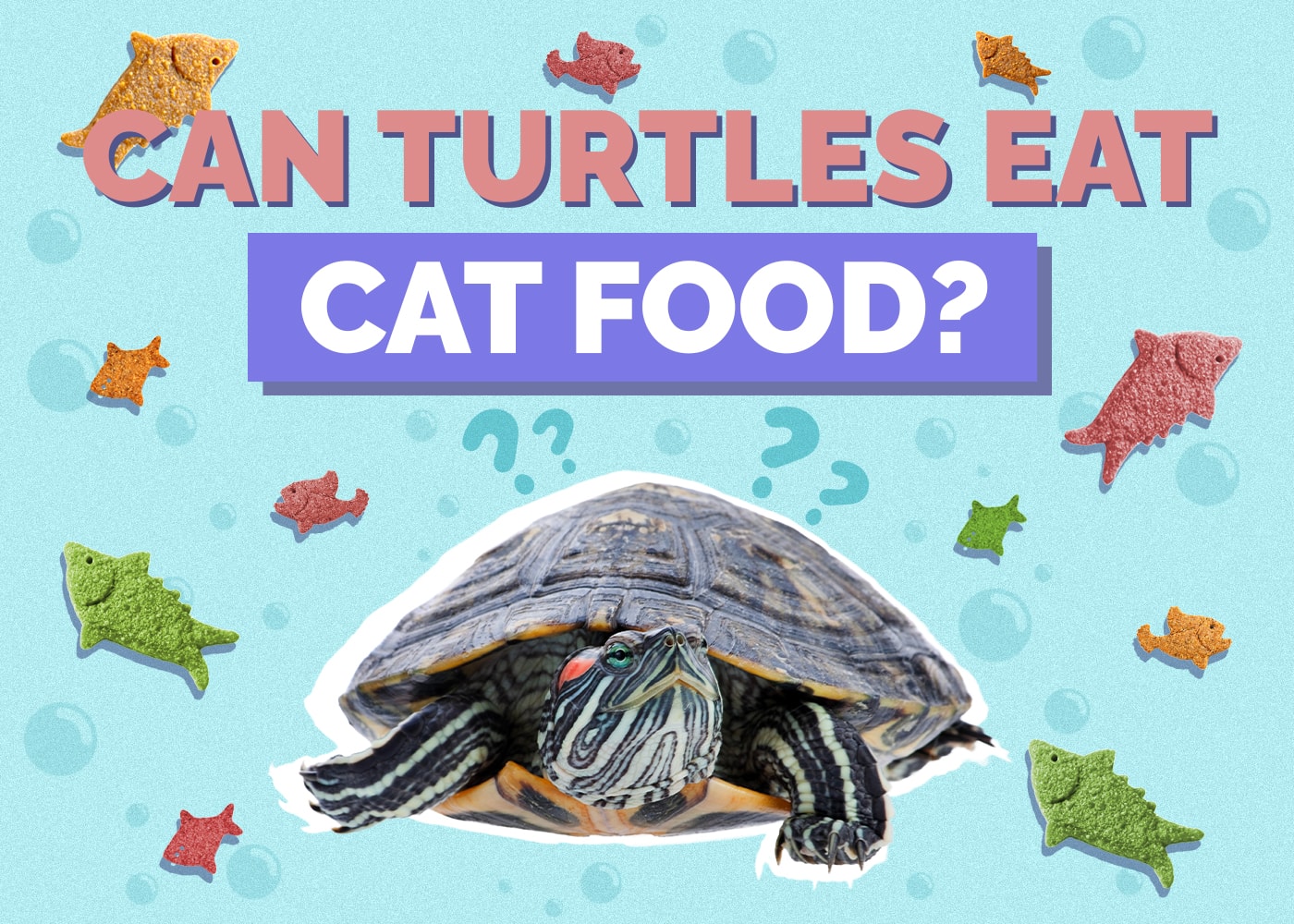 Can Turtles Eat Cat Food? Vet-Reviewed Nutritional Science & Advice ...