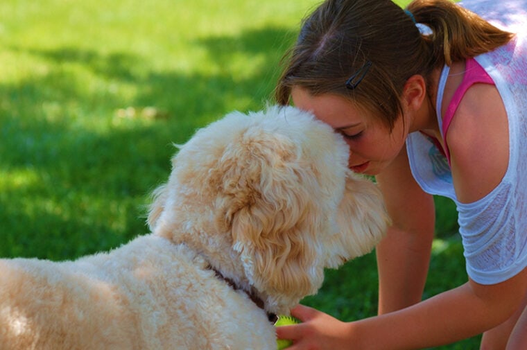 Can Dogs Fall in Love With Each Other? Canine Bonding Explained ...