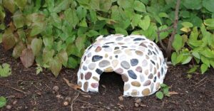 4 DIY Toad House You Can Make Today (With Pictures) | Hepper Pet Resources