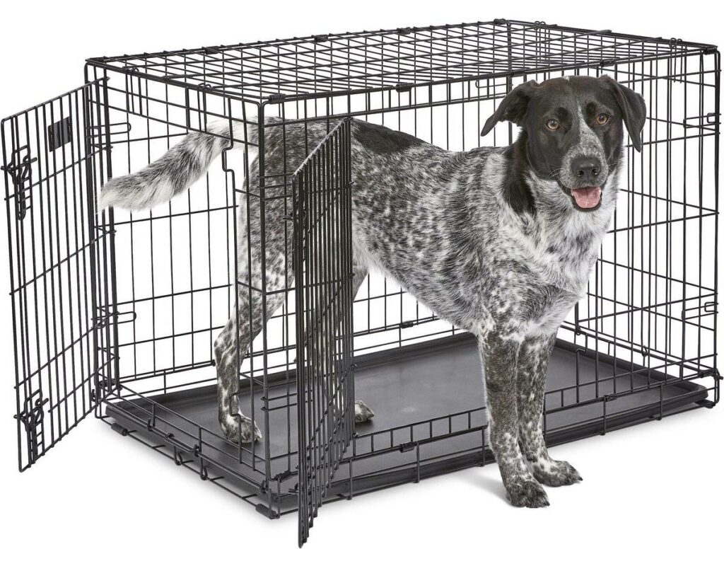 9 Best Dog Crates for RVs in 2026: Reviews & Top Picks | Hepper Pet ...