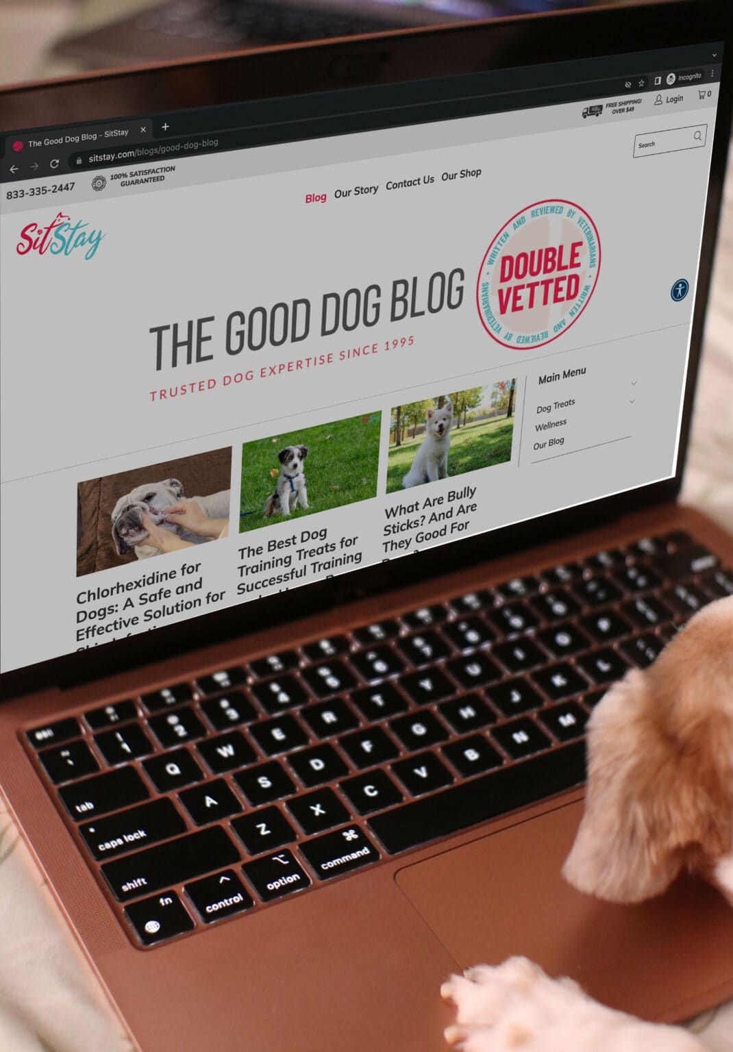 15 Top Dog Blogs You Should Know in 2025 | Hepper Pet Resources