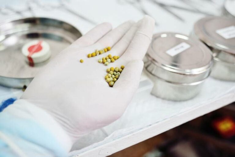 Kidney Stones in Dogs: Our Vet Explains Signs, Causes & Treatment ...