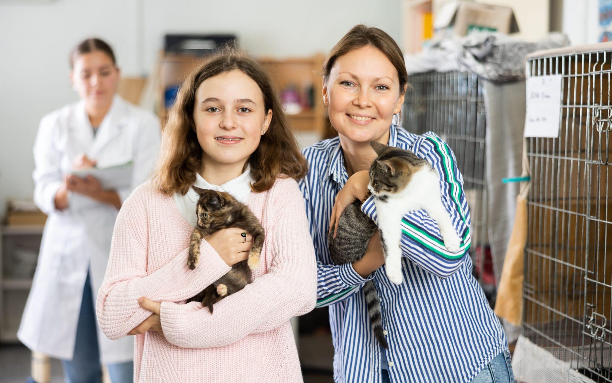 How Much Does It Cost to Adopt a Cat from a Shelter? 2025 Price Guide | Hepper Pet Resources
