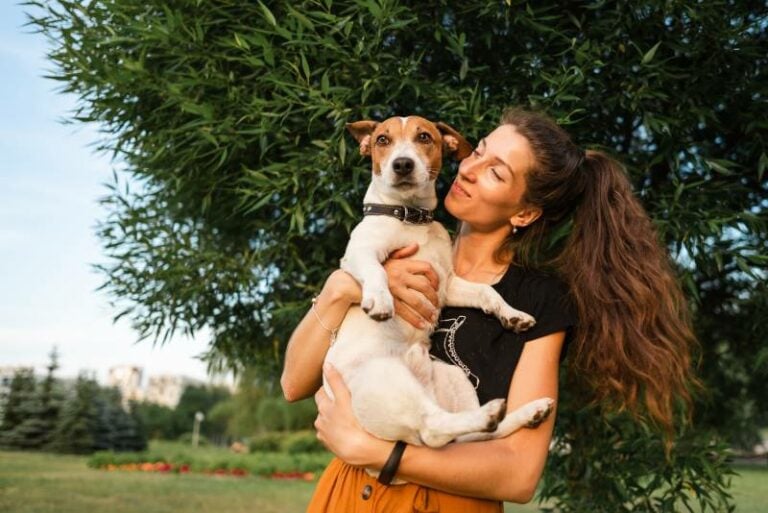 How to Pick Up a Dog: 6 Vet Approved Steps | Hepper Pet Resources