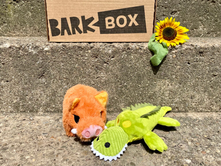 BarkBox vs Chewy Goody Box for Dogs Comparison 2025: Pros, Cons ...