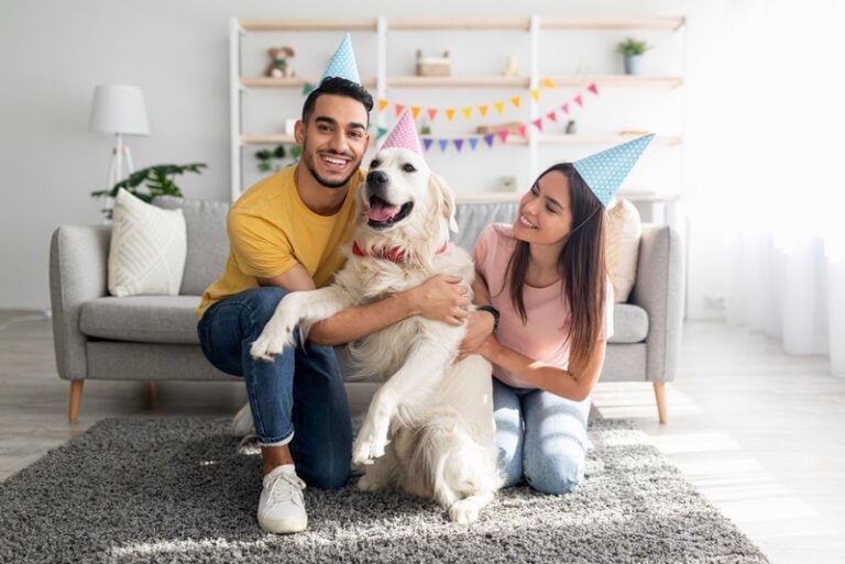 13 Dog Birthday Party Themes to Try (With Pictures) | Hepper Pet Resources