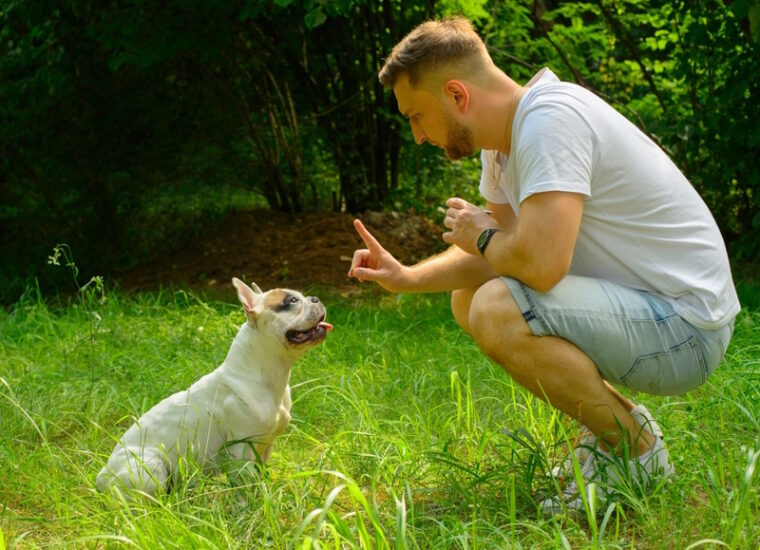 Do Dogs Know Their Names? What Science Says | Hepper Pet Resources