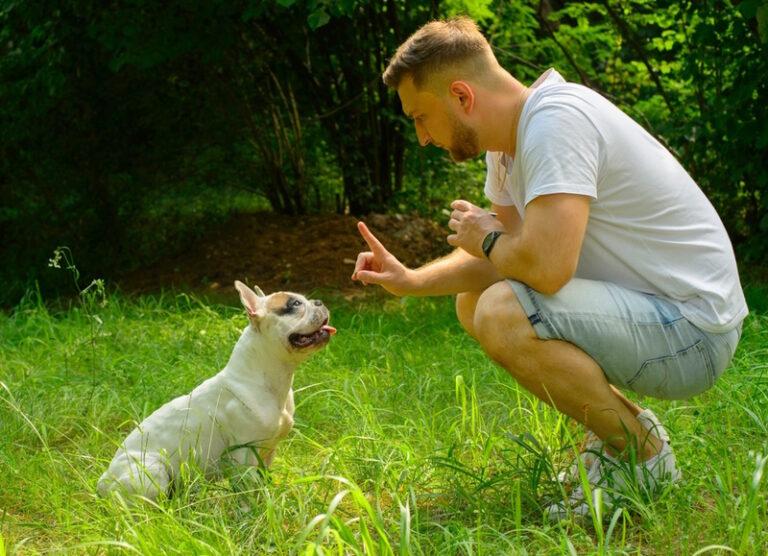 Do Dogs Know Their Names? What Science Says | Hepper Pet Resources