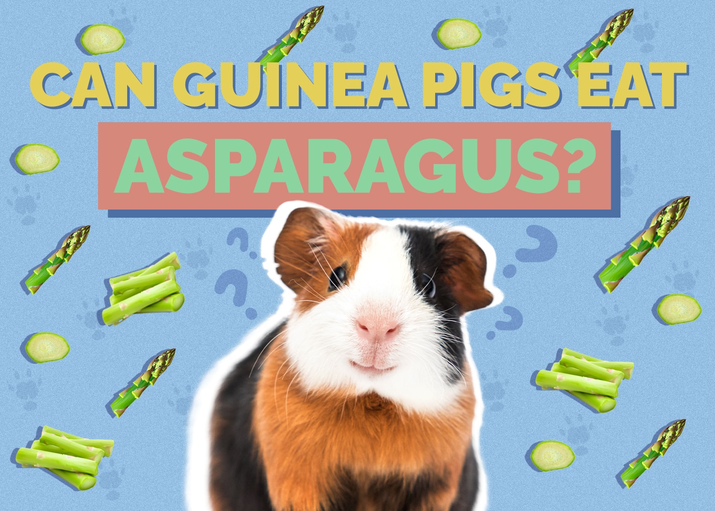 Can Guinea Pigs Eat Radishes? Vet-Approved Facts & FAQs | Hepper Pet ...