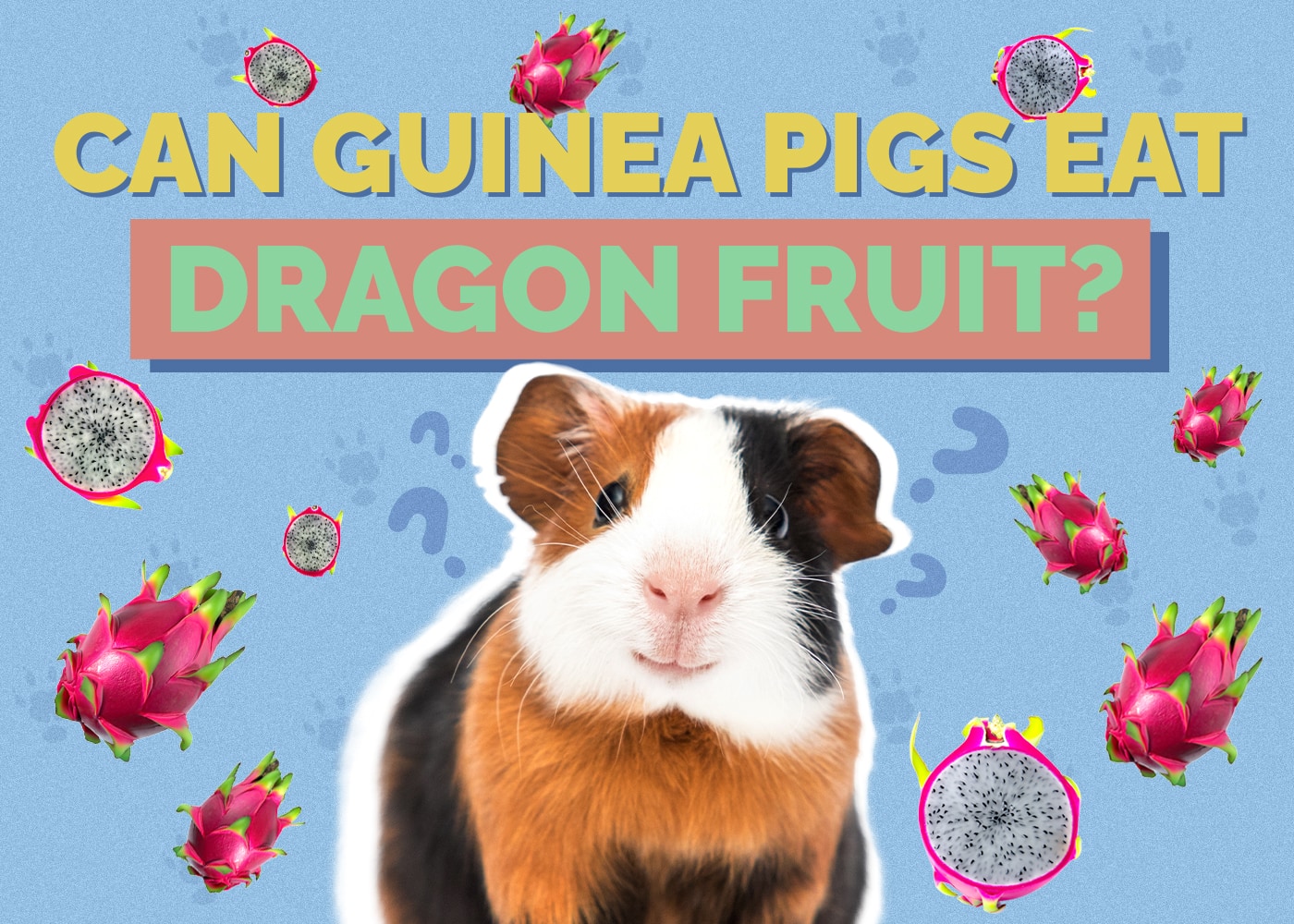 Can Guinea Pigs Eat Dragon Fruit? Vet-Reviewed Nutrition Facts | Hepper Pet Resources