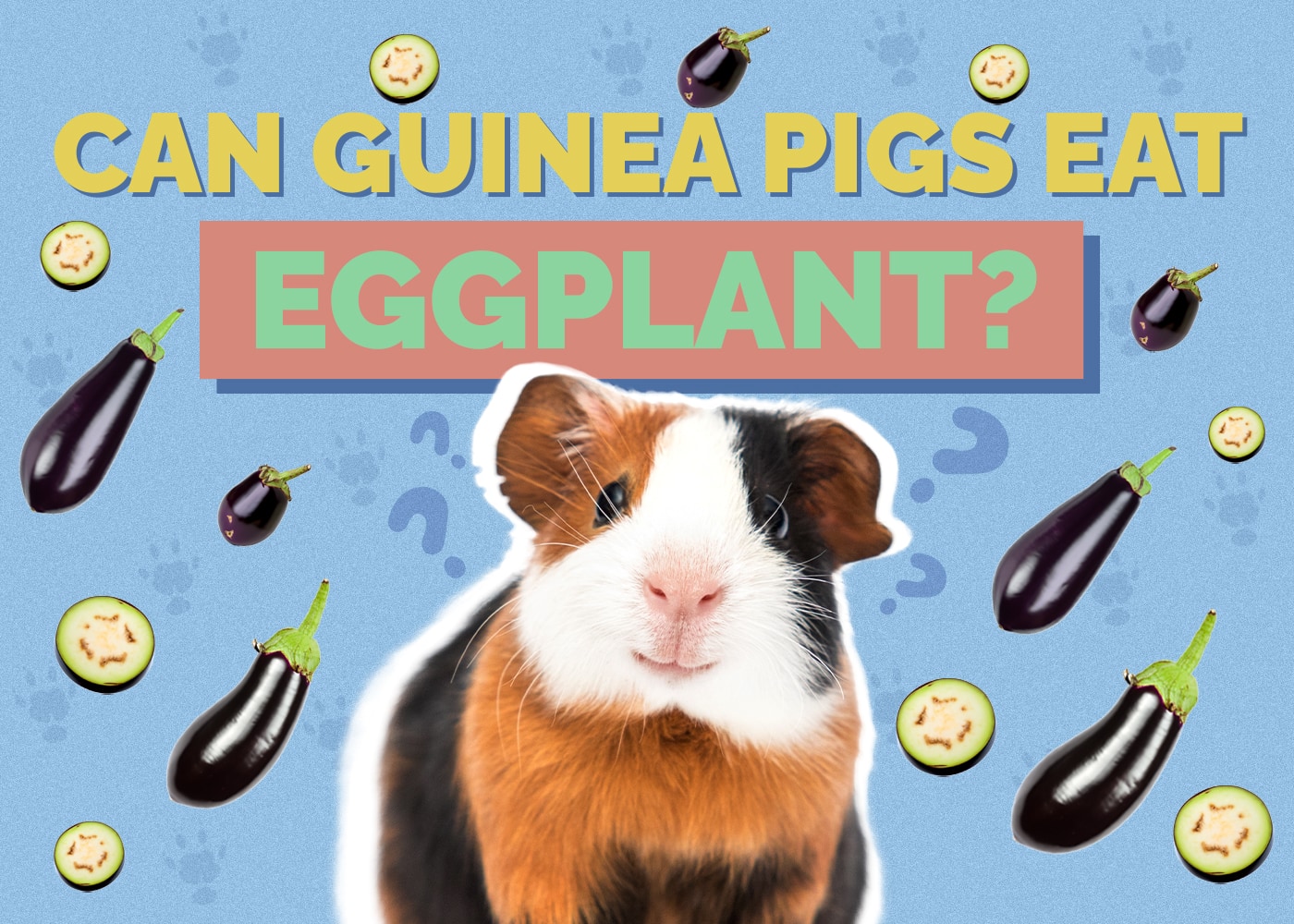 Can Guinea Pigs Eat Mango? Vet Approved Nutrition Facts & FAQ | Hepper Pet Resources