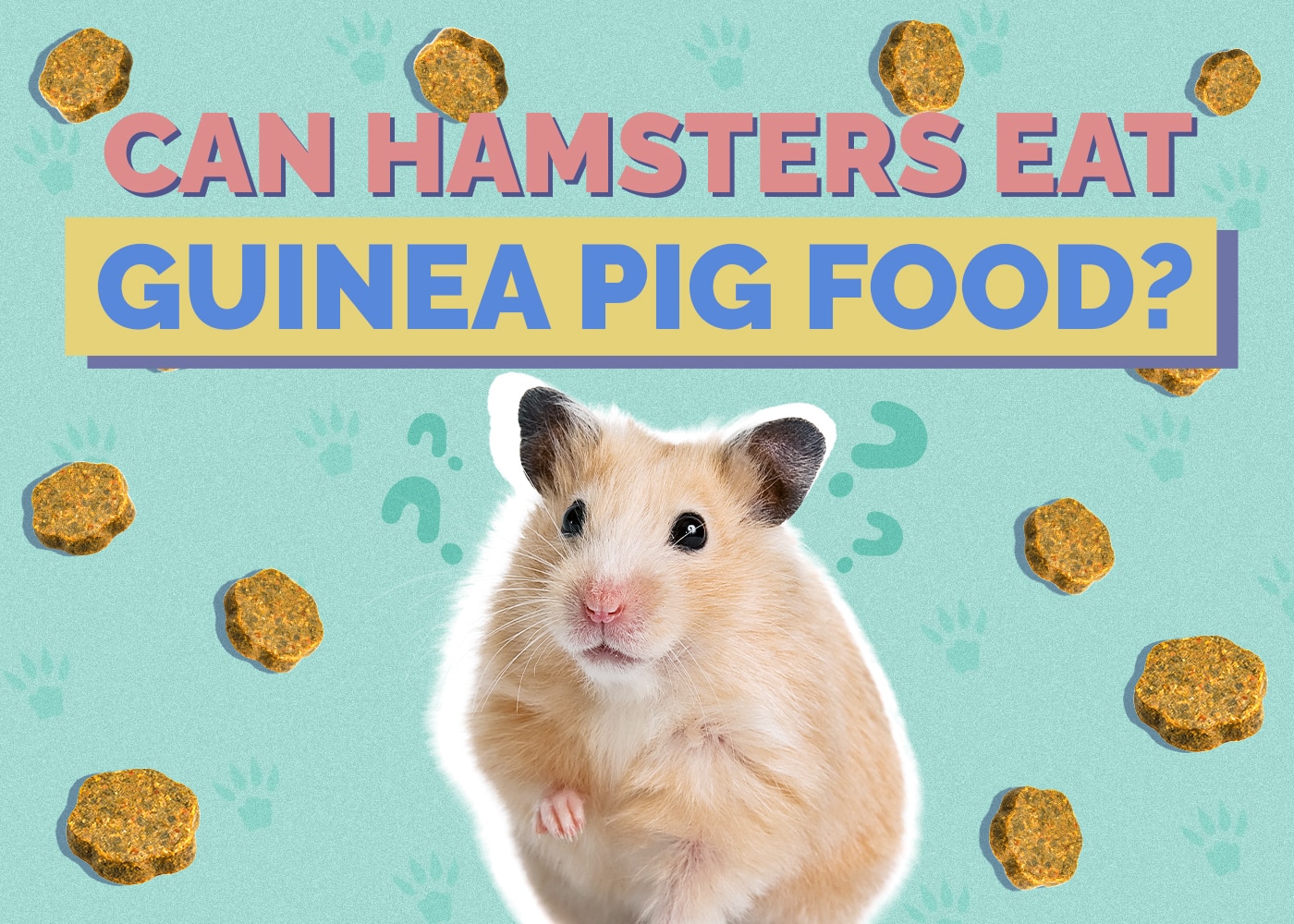 Can Hamsters Eat Guinea Pig Food? Vet-Reviewed Nutrition Facts & FAQ | Hepper Pet Resources