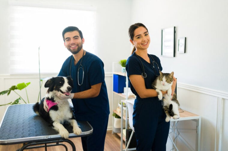 Veterinary Appreciation Day 2026: When Is It & How You Can Celebrate ...