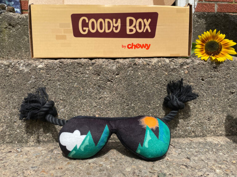 BarkBox vs Chewy Goody Box for Dogs Comparison 2026: Pros, Cons ...
