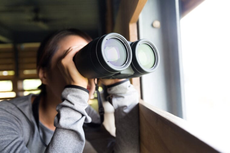 National Bird Day 2026: When Is It & How You Can Celebrate | Hepper Pet ...