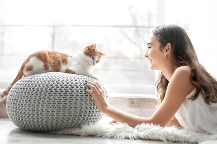 63 Best Gifts for Cat Lovers in 2026: Inspirational Ideas | Hepper Pet ...