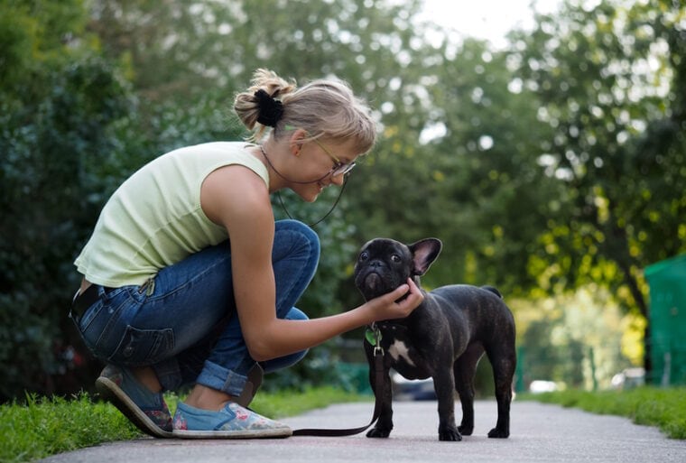 How to Pick Up a French Bulldog: 10 Vet-Approved Tips & Tricks | Hepper ...