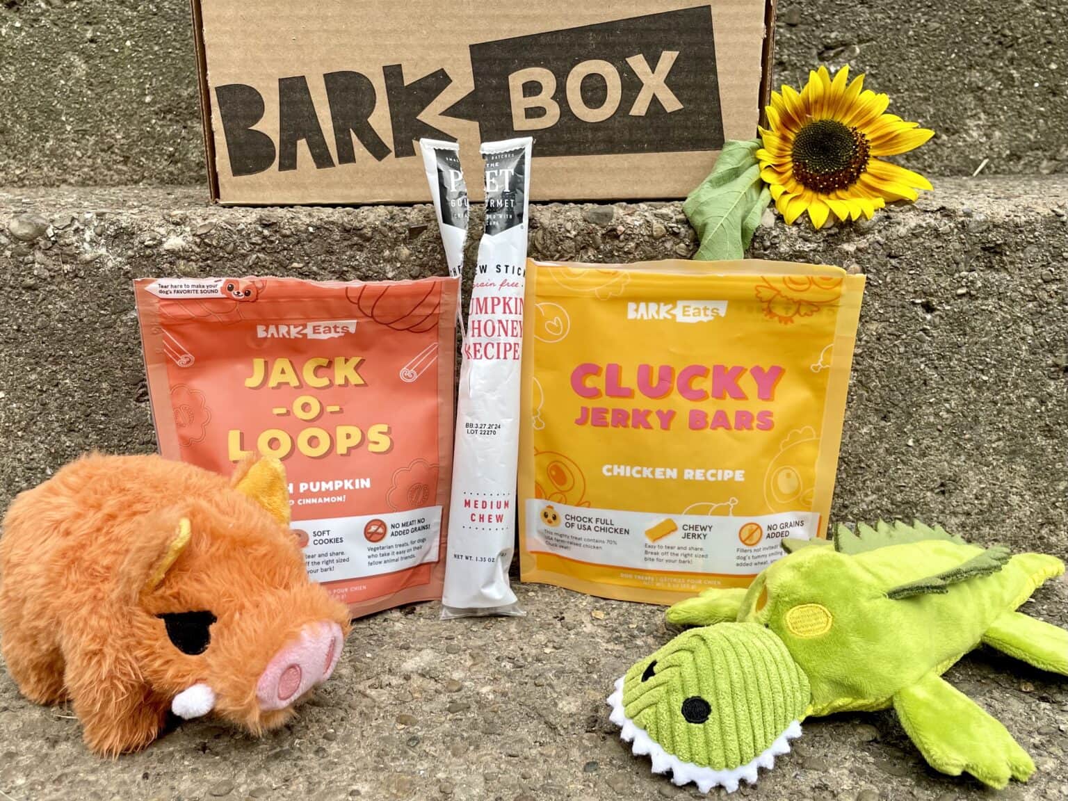 BarkBox vs Chewy Goody Box for Dogs Comparison 2025: Pros, Cons ...