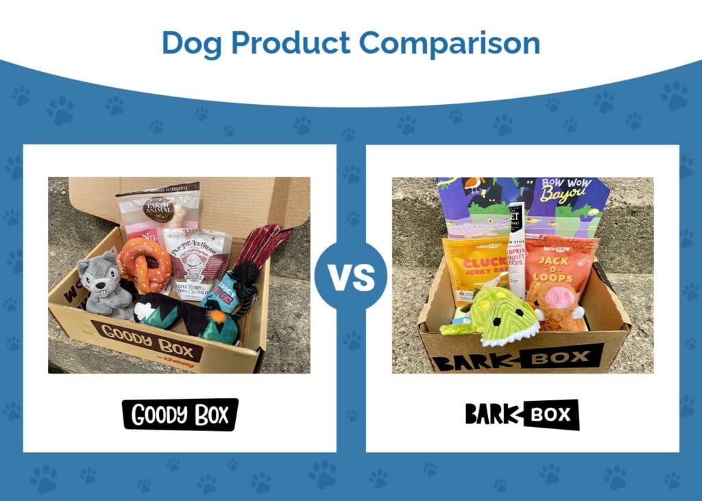 BarkBox vs Chewy Goody Box for Dogs Comparison 2025: Pros, Cons ...