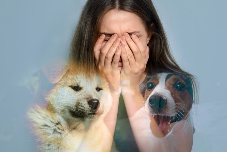 Fear of Dogs in People: Understanding Cynophobia | Hepper Pet Resources
