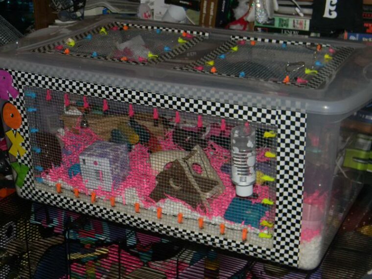 10 DIY Hamster Cages You Can Build at Home (With Pictures) | Hepper Pet ...