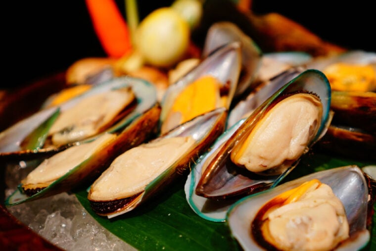 Green Lipped Mussels for Dogs: Vet Approved Benefits, Side Effects ...