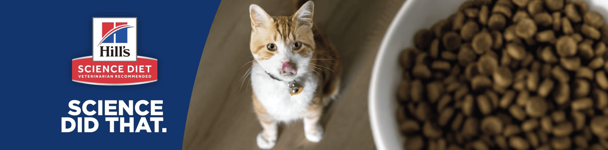 15 Most Popular Dog Food Brands (2026 Update) | Hepper Pet Resources