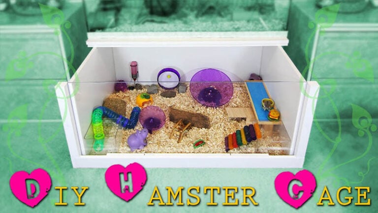10 DIY Hamster Cages You Can Build at Home (With Pictures) | Hepper Pet ...