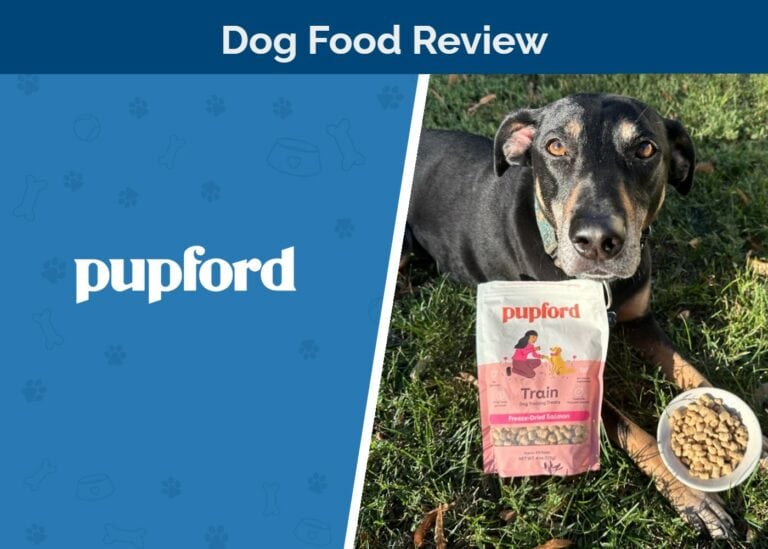 Pupford Training Treat Super Pack Review 2026: Our Vet's Opinion ...