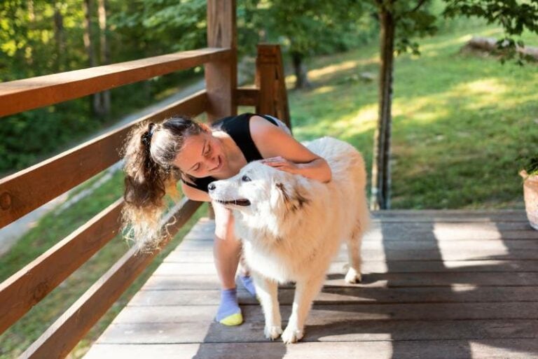 20 Surprising Great Pyrenees Facts | Hepper Pet Resources
