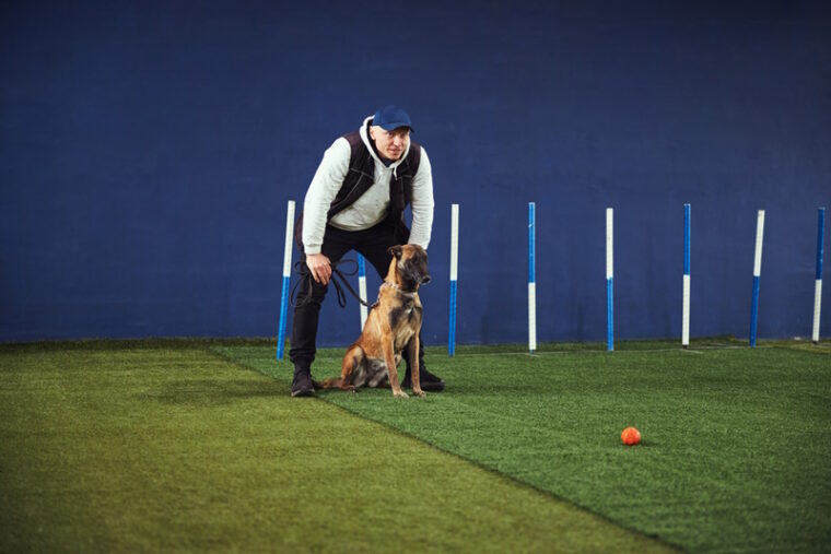 PetSmart Dog Training Review 2025: FAQ, Pros & Cons | Hepper Pet Resources