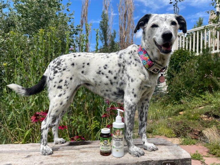 Silver Lining Herbs Dog Supplements Review 2026: Pros, Cons, & Verdict ...