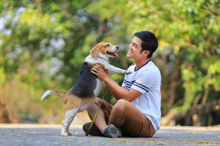 Why Are Dogs Called Man’s Best Friend? History & Origins of the Phrase ...