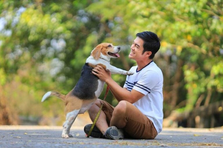 Why Are Dogs Called Man’s Best Friend? History & Origins of the Phrase ...