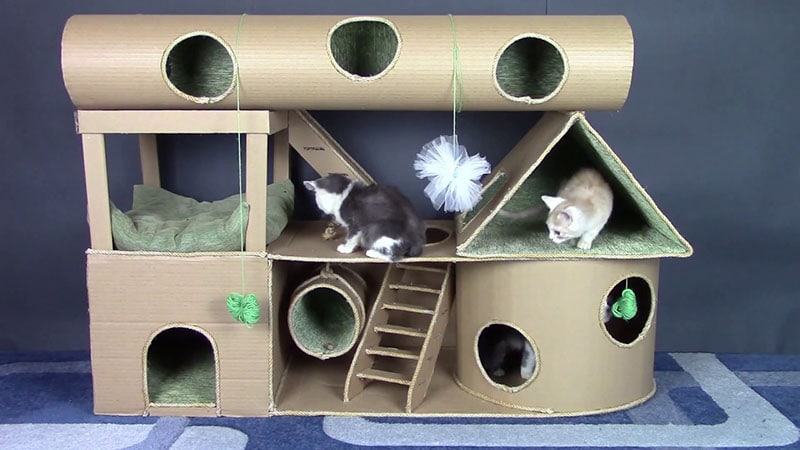 8 DIY Ferret Playground Ideas You Can Make at Home (With Pictures ...