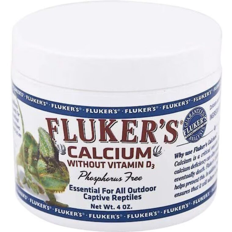 10 Best Calcium Powders for Bearded Dragons - 2026 Reviews & Top Picks ...