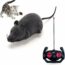 10 Best Remote Control Cat Toys - 2026 Reviews & Top Picks | Hepper Pet ...