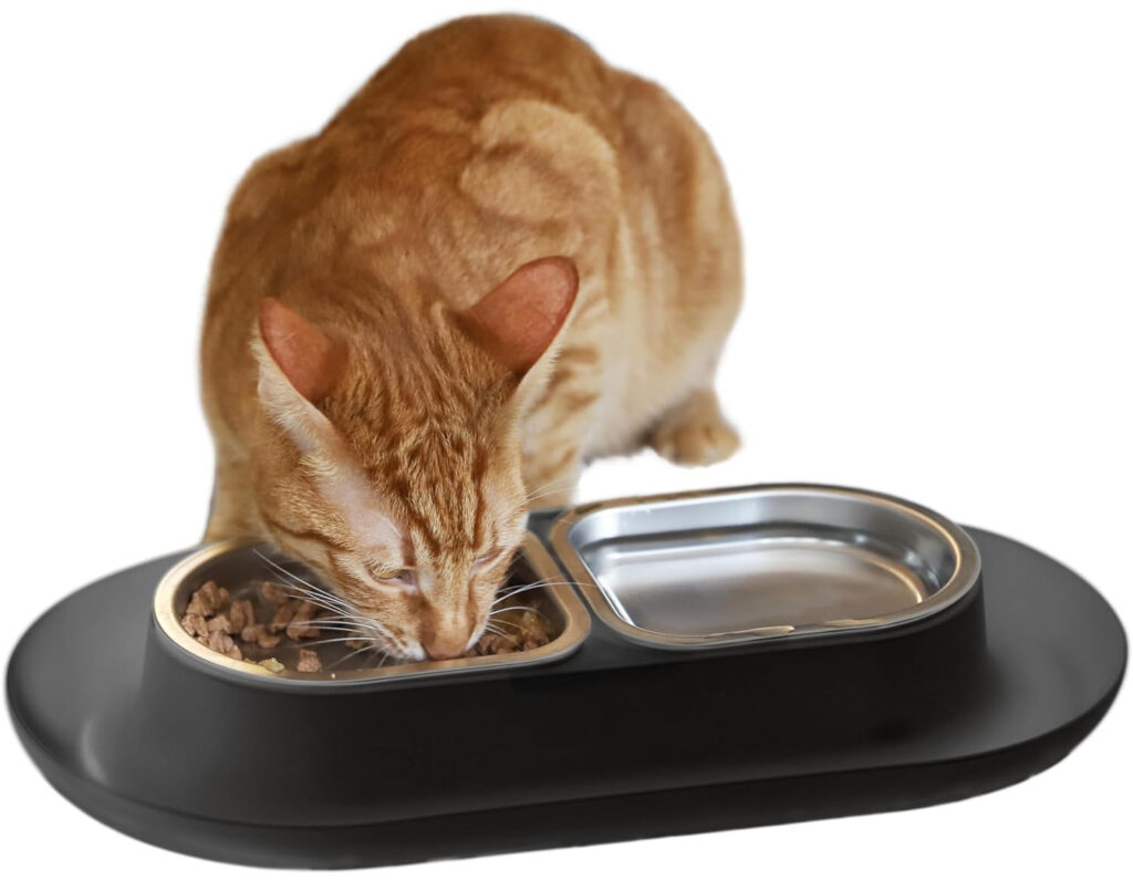 10 Best Bowls for Small Dogs In 2026 – Reviews & Top Picks | Hepper Pet ...