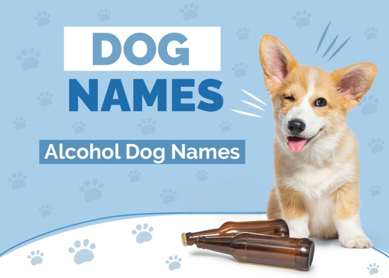 100+ Alcohol Names for Dogs: Wine, Beer & Cocktail-Inspired Ideas ...