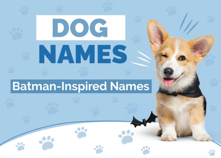 350 Badass Dog Names: Ideas for Your Furry Rebel | Hepper Pet Resources