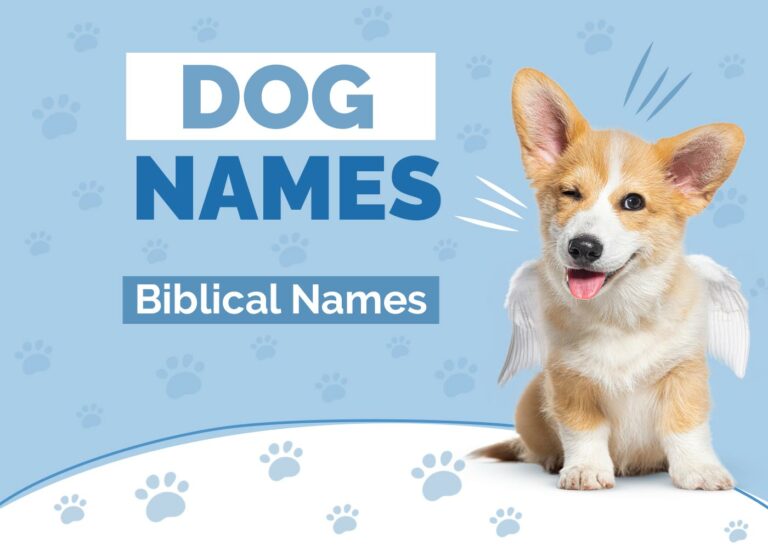 350+ Wonderful Names for Great Pyrenees: Ideas for Mountaineer Dogs ...