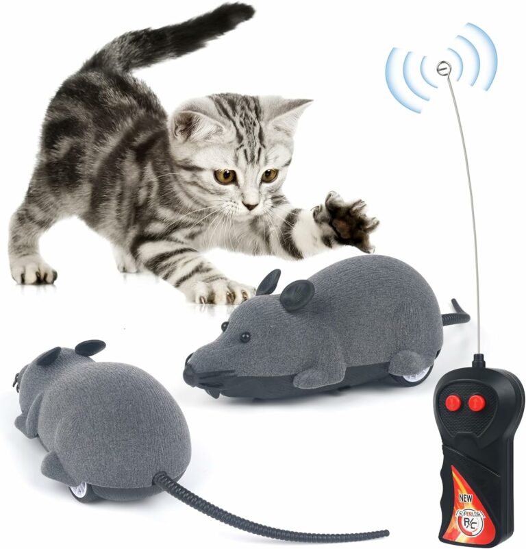 10 Best Remote Control Cat Toys - 2025 Reviews & Top Picks | Hepper Pet ...